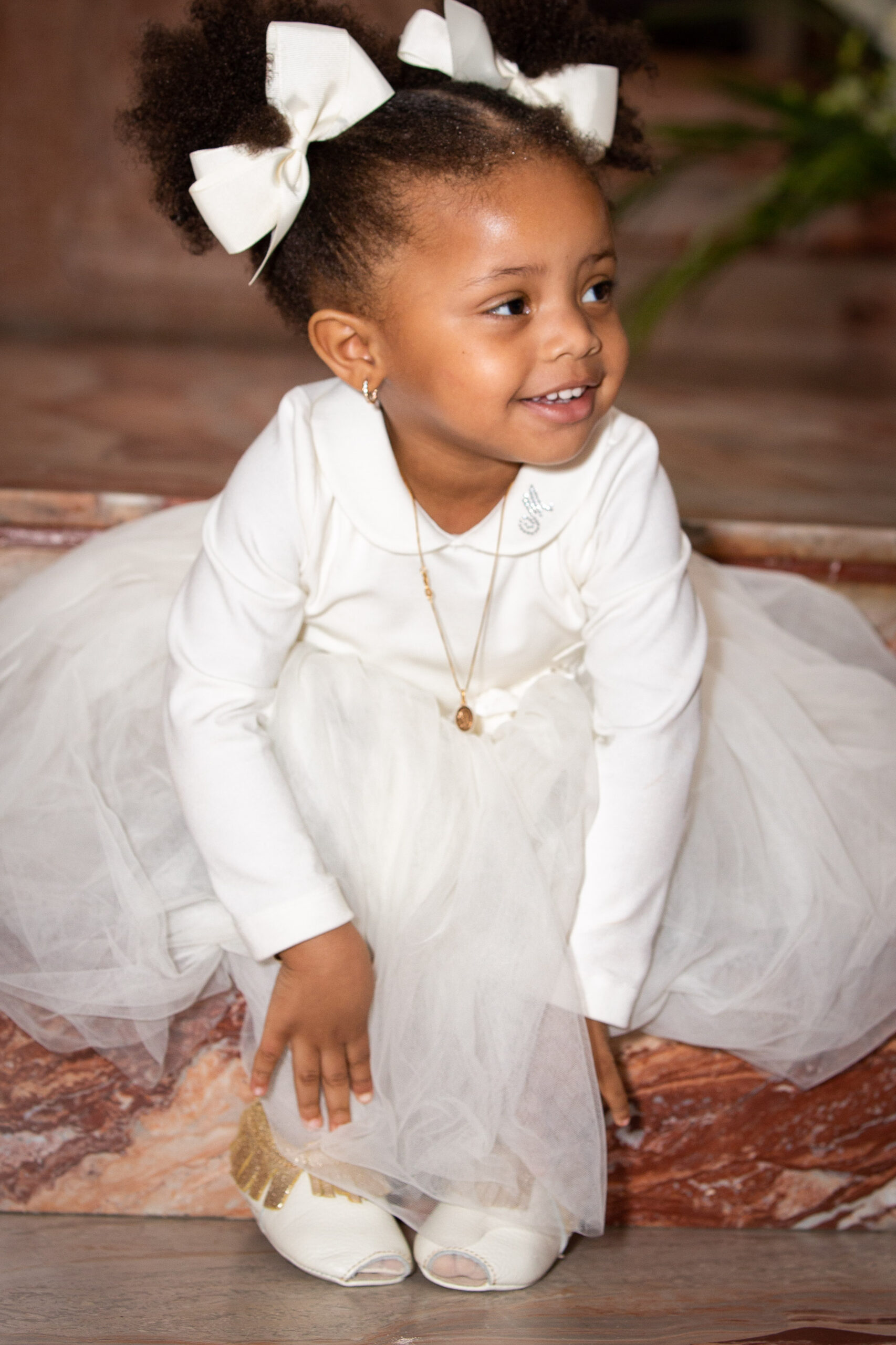 Main Gallery - EM Photography